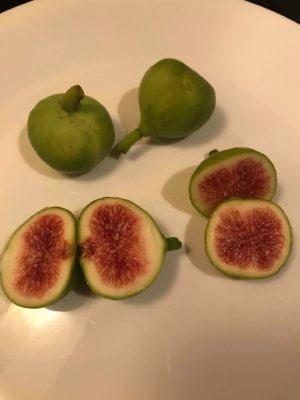 Fig Flavor Profiles | Gardening in the Desert