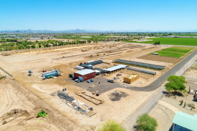 A Tour of the AZ Worm Farm | Gardening in the Desert