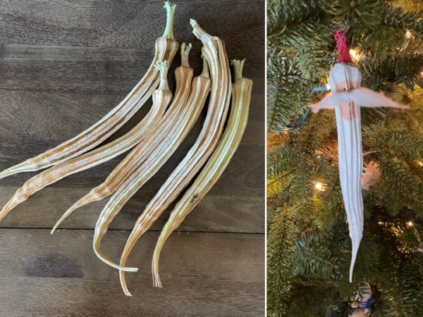 How to Make Dried Okra Santa Ornaments | Gardening in the Desert